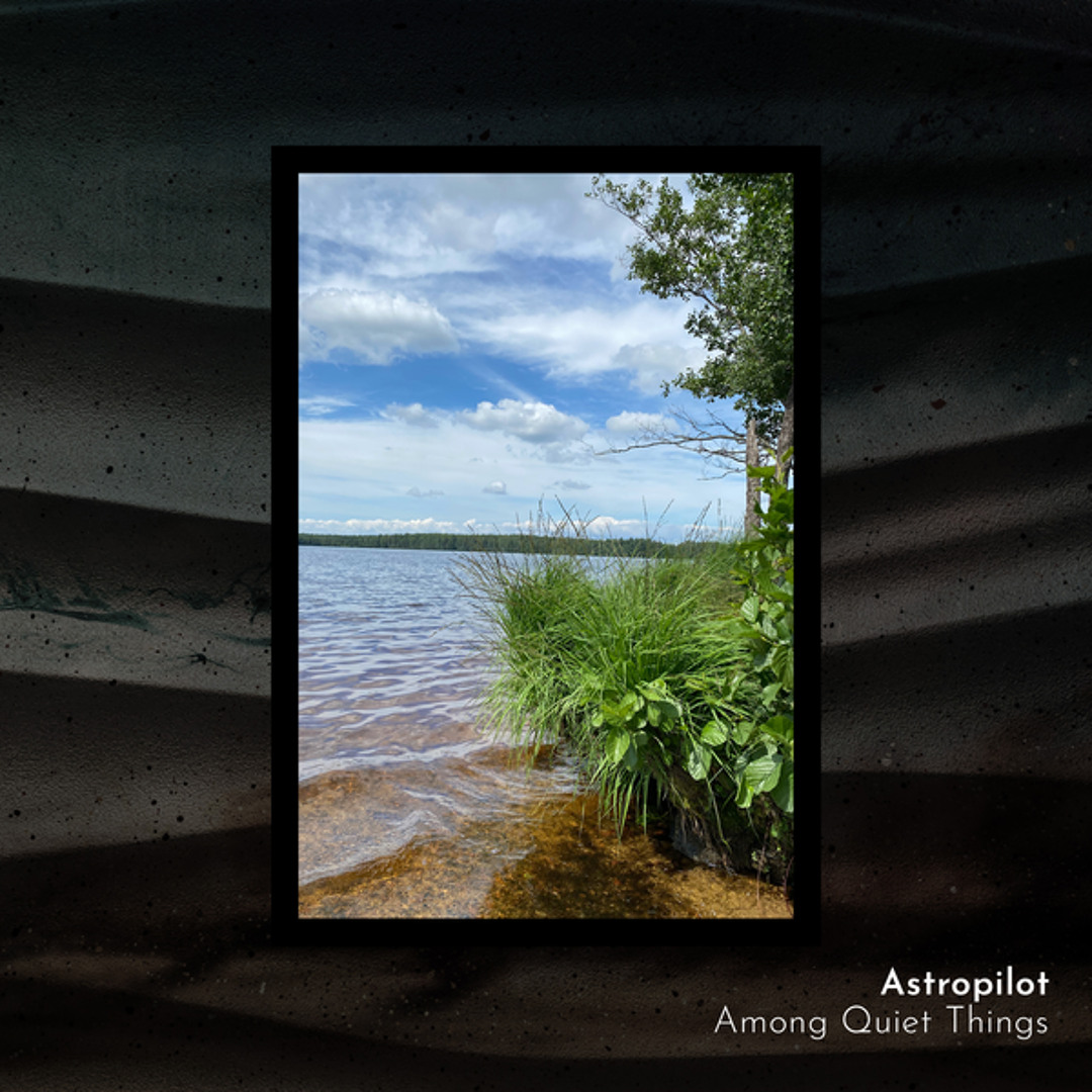 Stream Among Quiet Things by Astropilot | Listen online for free on ...
