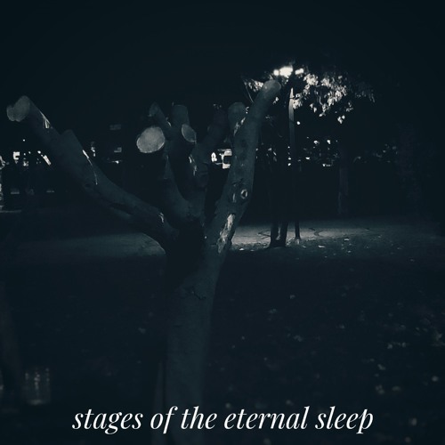 Stream Swan Haze | Listen to stages of the eternal sleep playlist ...