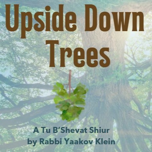 Stream Upside Down Trees and the Secret of Life's Purpose by R' Yaakov Klein/Eilecha | Listen ...