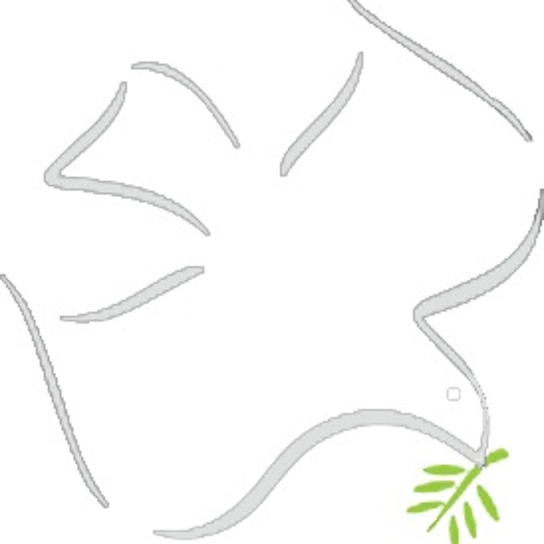 Stream episode Parete - How Boiceville Inn was Started by Silver Hollow ...