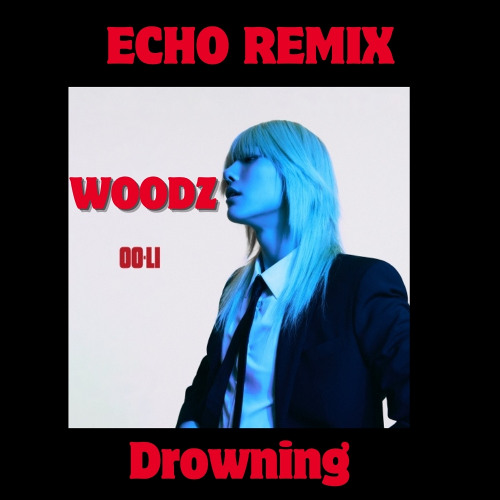 Stream Drowning (ECHO REMIX) by ECHO_ | Listen online for free on SoundCloud