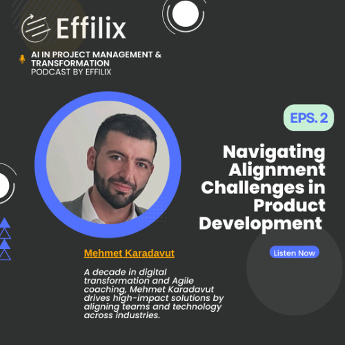Stream episode Episode 2: Navigating Alignment Challenges in Product Development by Effilix | We ...