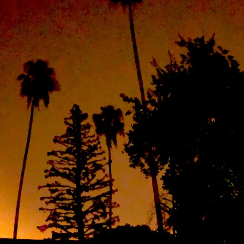 Stream Tom Farrar | Listen to Fustiest playlist online for free on ...