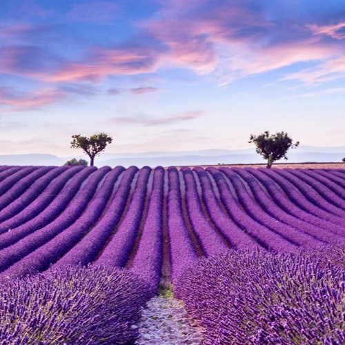 Stream MASTER KING by Unknownagian | Listen online for free on SoundCloud