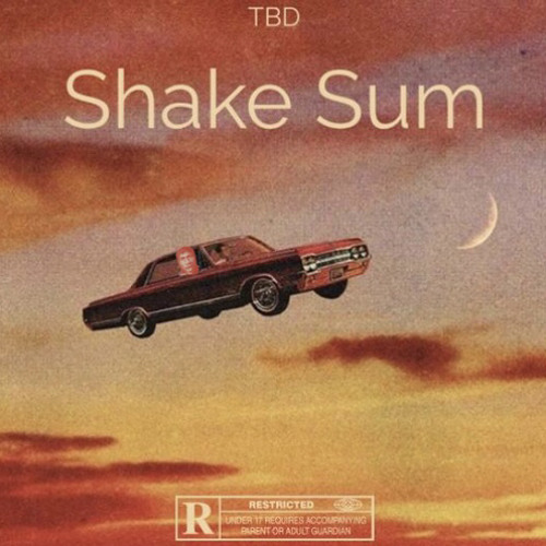 Stream Shake Sum by TBD | Listen online for free on SoundCloud