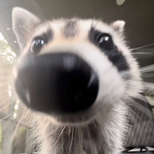 Stream "Automatic" Dubstep Flip (Duya Remix) by Duya | Listen online ...