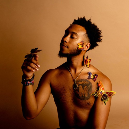 Stream Francs Listen To The Butterfly Effect Playlist Online For Free