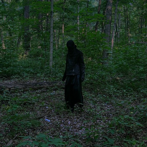 Stream [FREE] Ken Carson x Playboi Carti x 808 Mafia Type Beat - " HIGH ...