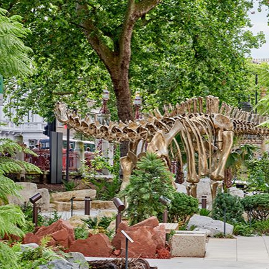 Stream Stop 6: Wetland Habitats by Natural History Museum | Listen ...