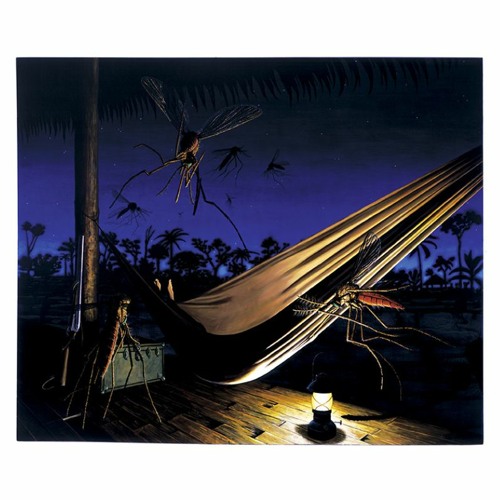 Stream Hammock by Alexis Rockman - Laura Papp, First Landing State Park ...