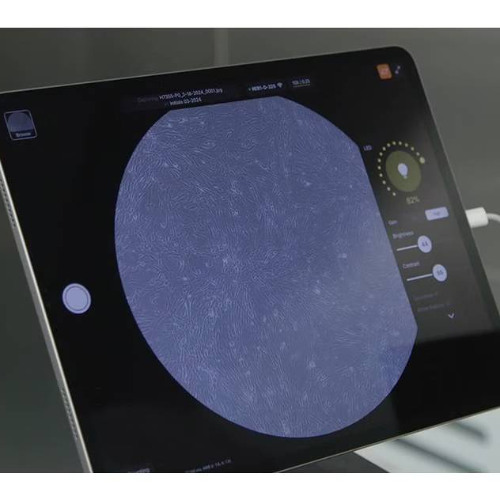 Stream How Advanced Cell Technology is Reshaping Regenerative Medicine ...