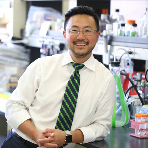 Stream episode Disparities in Lupus Care: Drs Alfred Kim, Ashira Blazer ...