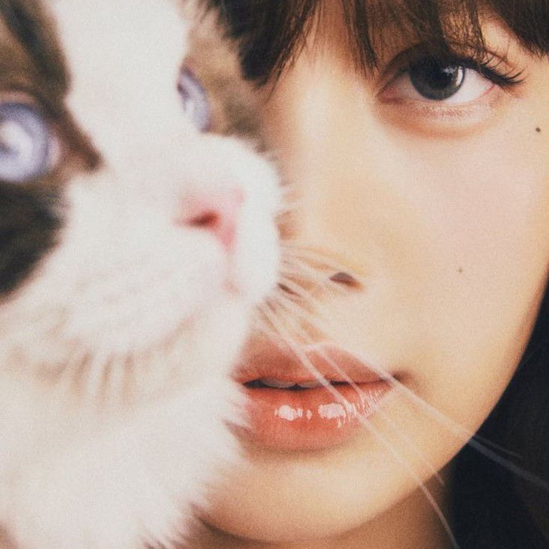 Stream Chill - LISA by ᶻ 𝗓 𐰁 | Listen online for free on SoundCloud