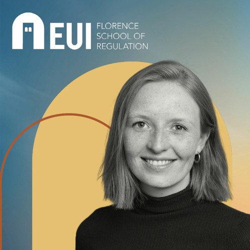 Stream The Brains Behind the Bank: Johanna Schiele on Renewable ...