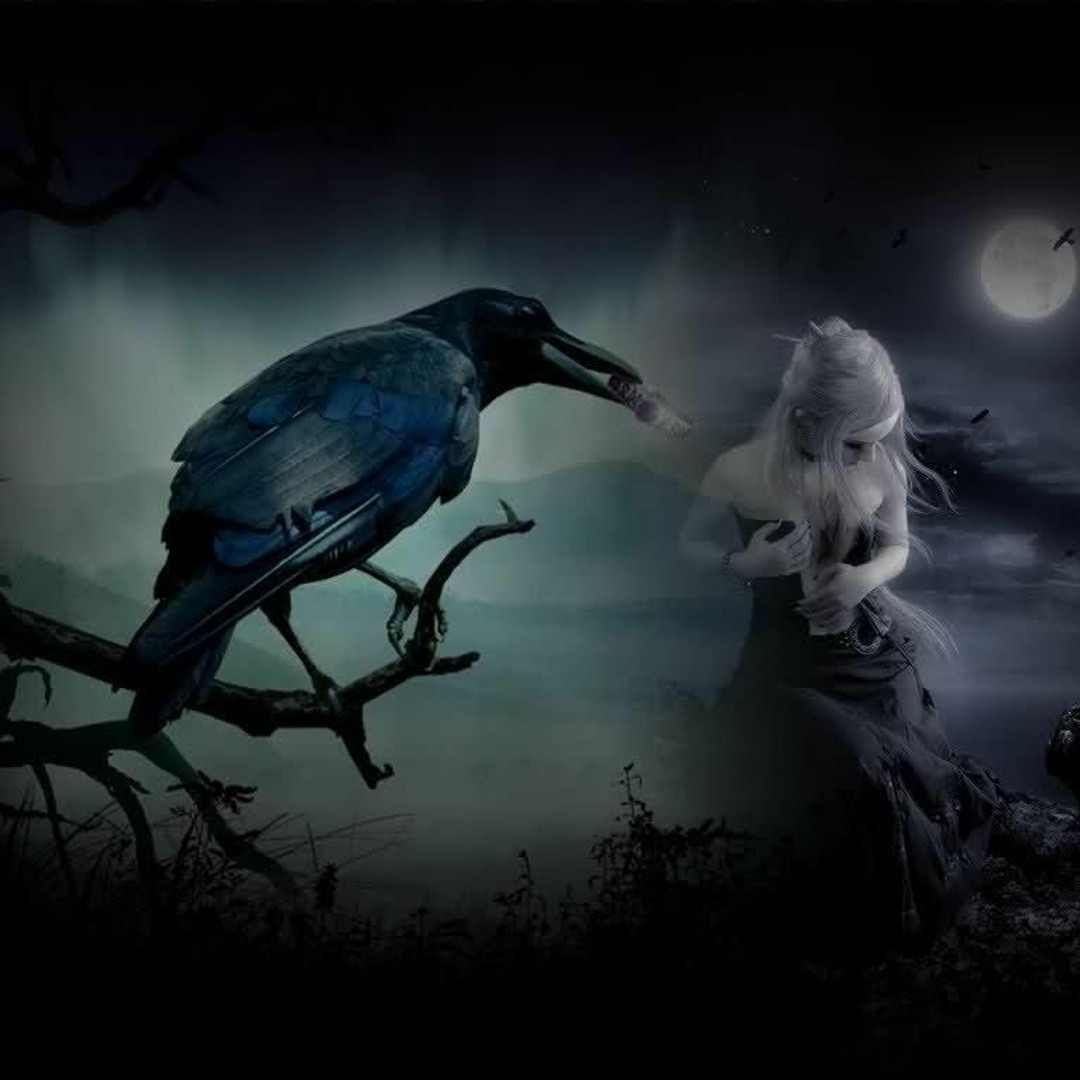 Stream pouya | Listen to nbvcx playlist online for free on SoundCloud