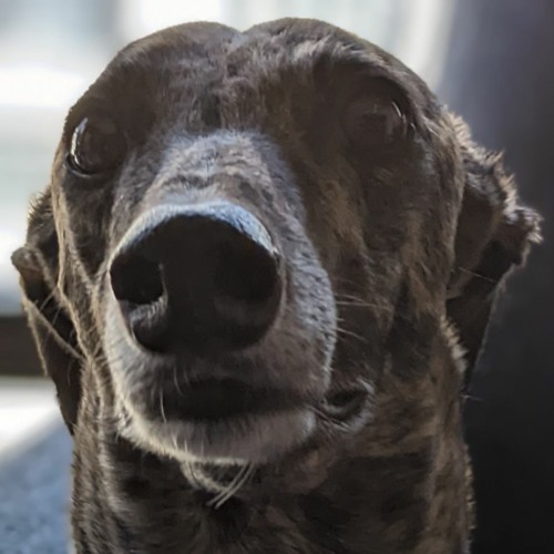 Stream Run Lego Run by Casey Toner | Listen online for free on SoundCloud