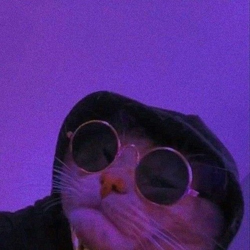 Stream Maan Tod Gai Maan mithiye _ maan tod gai maan mithiye Song mp3 ...