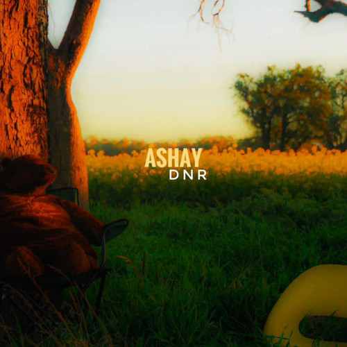 Stream D.N.R - Ashay by D.N.R | Listen online for free on SoundCloud