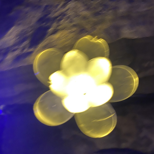 Stream bluest flame - charli xcx by ailime | Listen online for free on ...