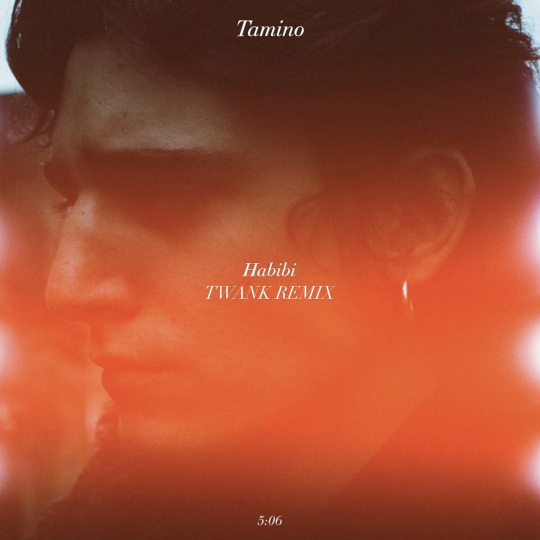 Stream Tamino - Habibi (TWANK Remix) [FREE DOWNLOAD] by TWANK | Listen ...
