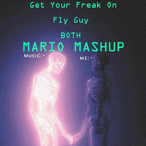 pumpyoursound.com | Get Your Freak On X Fly Guy X BOTH (MARIO MASHUP