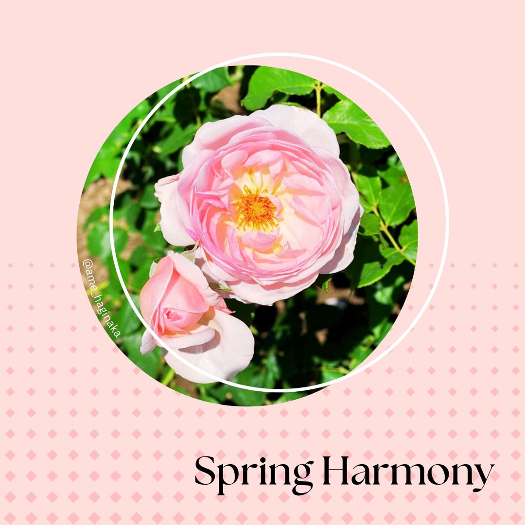 Stream Spring Harmony by Ame Haginaka | Listen online for free on SoundCloud
