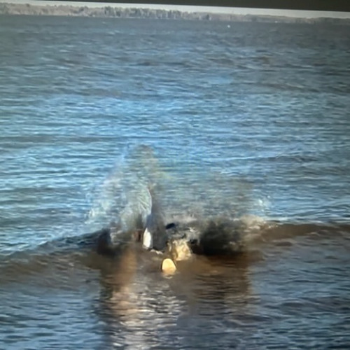 Stream With Faith - Francis Frazier 1954 by Francis Frazier1954 ...