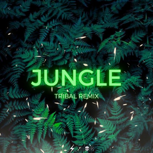 pumpyoursound.com | JUNGLE - TRIBAL REMIX ( ProdJuanT - JasonDj ) 20