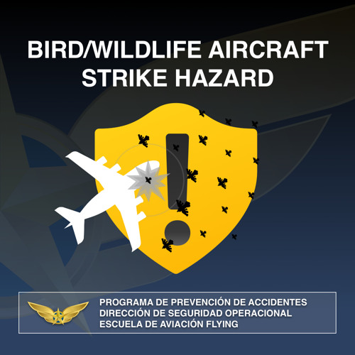 Stream BASH - Bird / Animal Strike Hazard by Escuela de Aviación Flying ...