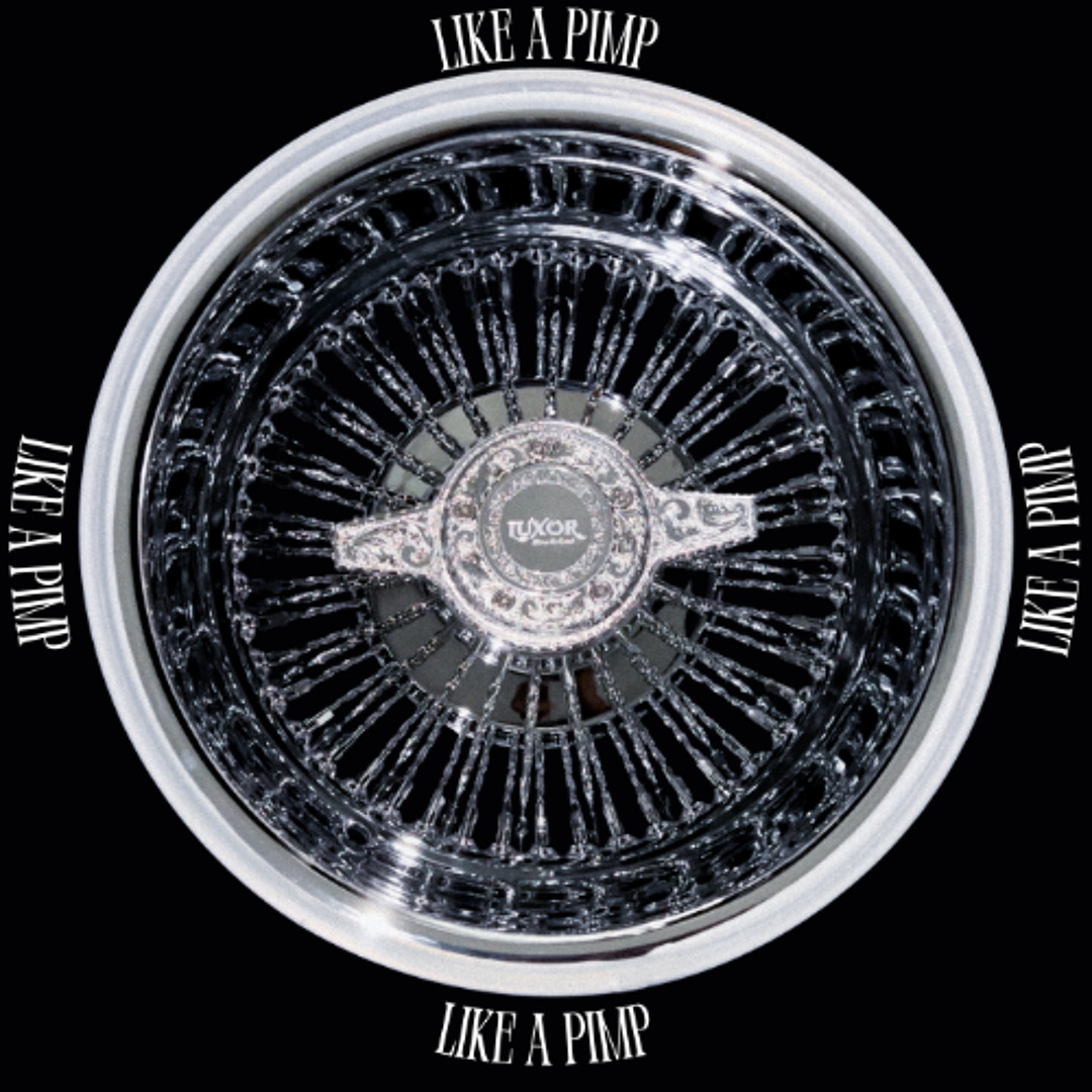 Stream DAVID BANNER FT. LIL FLIP - LIKE A PIMP (NOISYBOY REMIX) by NoisyBoy | Listen online for ...