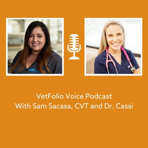 Stream episode Flipping the Script: A Look Inside Dr. Cassi’s House Call Practice by VetFolio ...