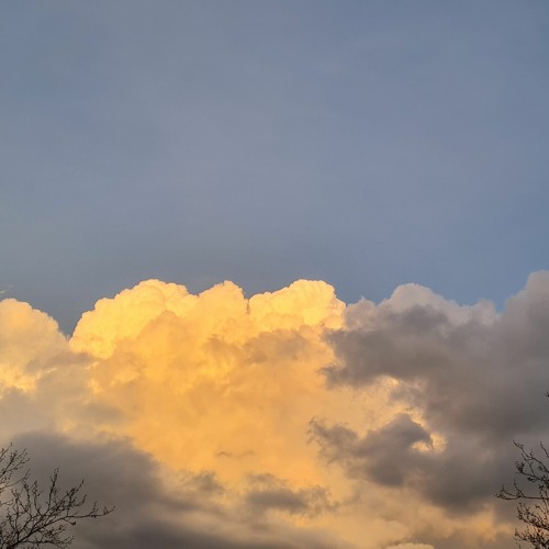 Stream Rush C# by sheet music boss by Mahina | Listen online for free ...