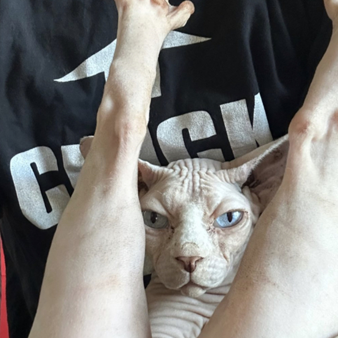 Stream Guts? This You? by Guts Webster | Listen online for free on SoundCloud