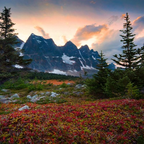 Stream studio background (FREE DOWNLOAD) by royalty free mp3 | Listen ...