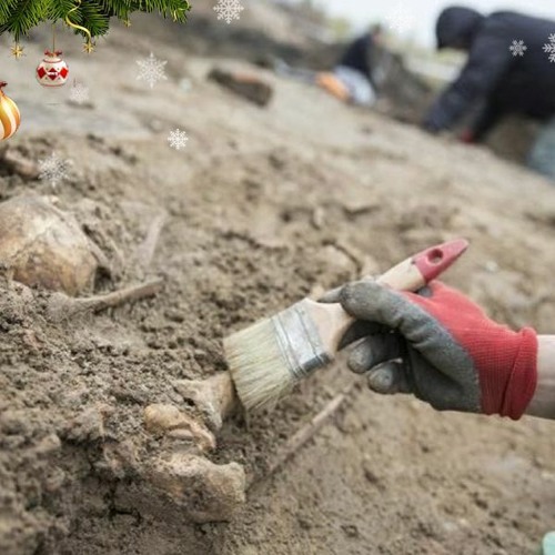 Stream Археологийн лаборатори шаардлагатай байгааг эрдэмтэд хэлж байна By Mongolian National