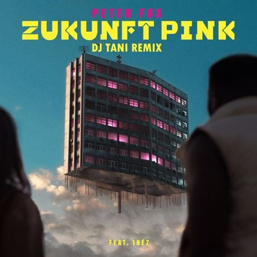 Stream Peter Fox - Zukunft Pink (Dj Tani Remix)Slap House🔊💥Free Download by DJ TANI | Listen ...
