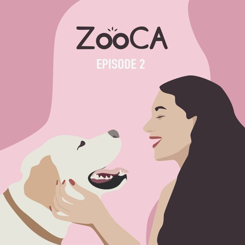 Stream Interview Zooca part 2 by Podcast Chat Alors! | Listen online ...