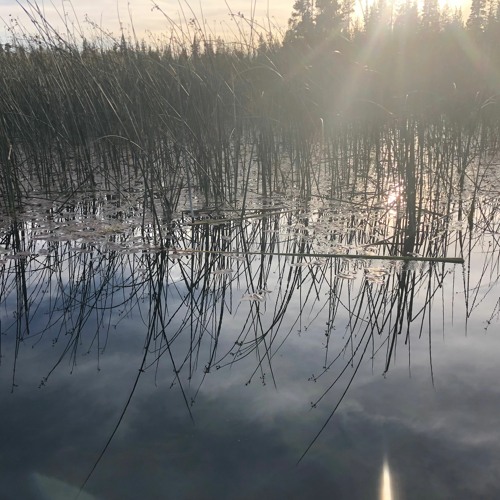 Stream Our Sweet Earth - Jennifer Armstrong by Ian Carrick | Listen ...