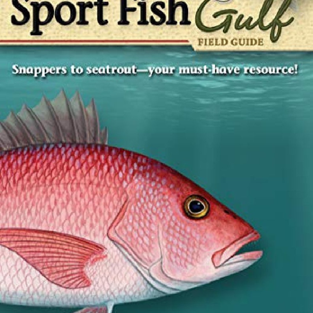 Stream episode [DOWNLOAD]⚡PDF Saltwater Sport Fish of the Gulf Field ...