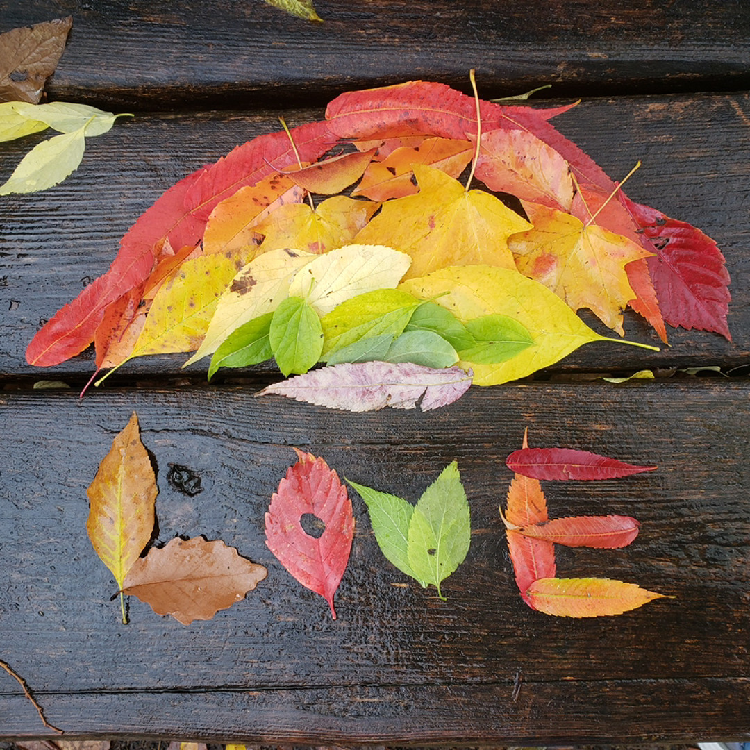 Stream Somatic exercises for muscles in shoulders and neck.mp3 by Lisa ...