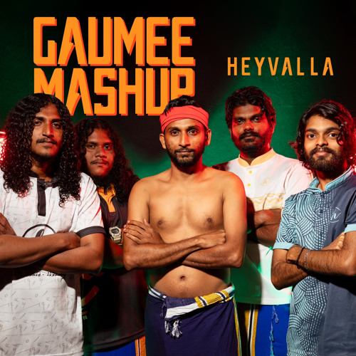 Stream Gaumee Mashup - Heyvalla by Heyvalla | Listen online for free on ...