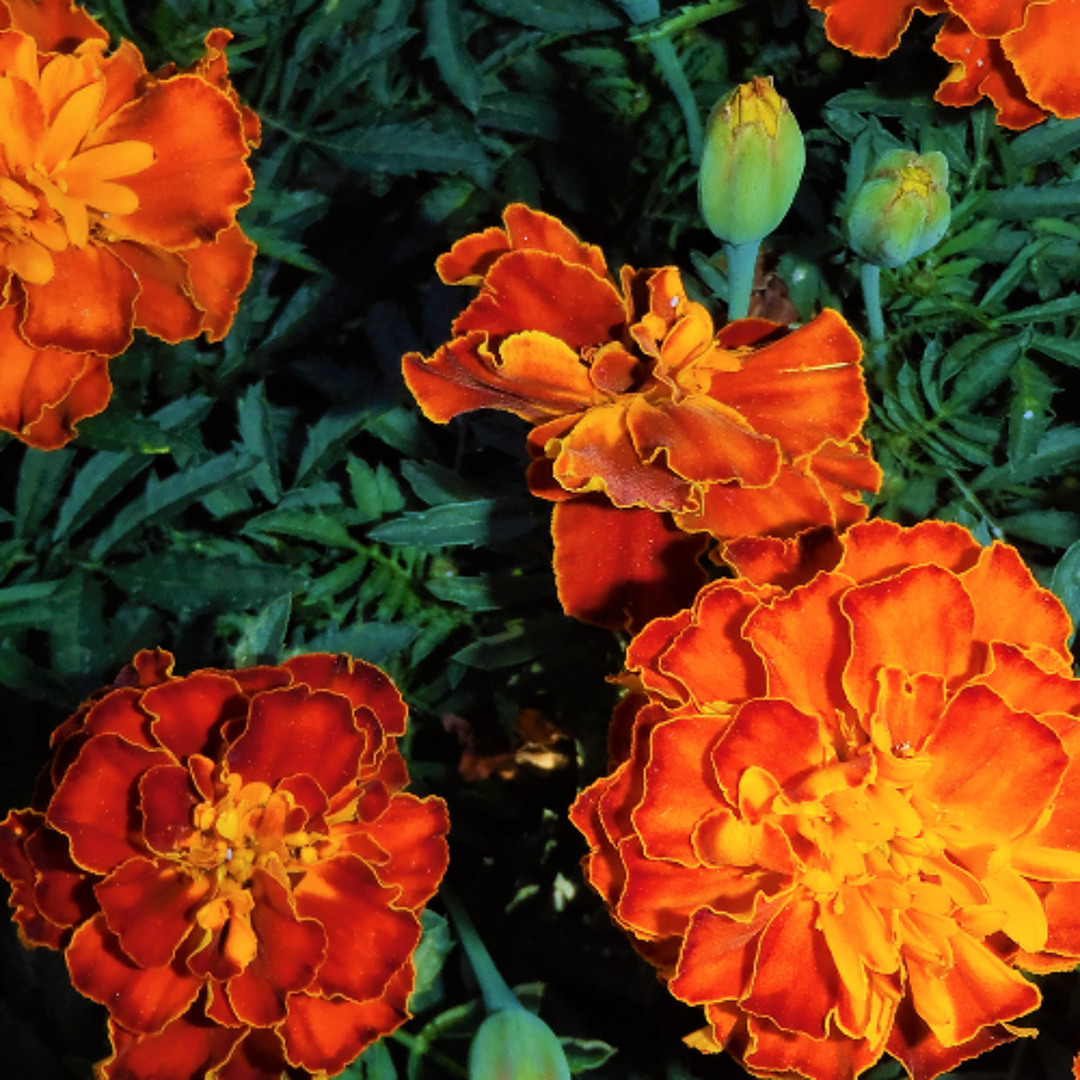 Stream When I knew by Joemama | Listen online for free on SoundCloud