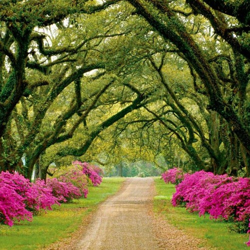 Stream Jesus Don’t Give Up On Me Yet - By Rhonda Palmer by Bryan Harr ...