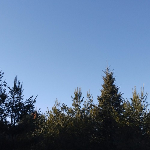 Stream Hank Williams Jr. - Mr. Weatherman - 1982 by finnthebandit ...