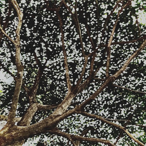 Stream why u mad?? (ft. wubz & Jay Kim) by sadgods | Listen online for free on SoundCloud