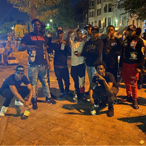 Stream QG Meer x Briscoe Bands - Meet The Floxkers Pt 1 by ...