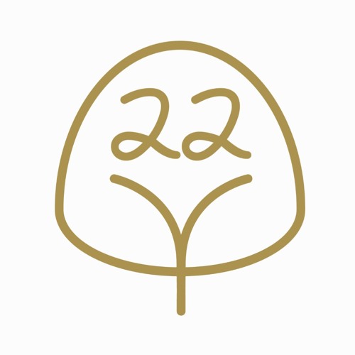 Stream JR & SUNS by 22 | Listen online for free on SoundCloud