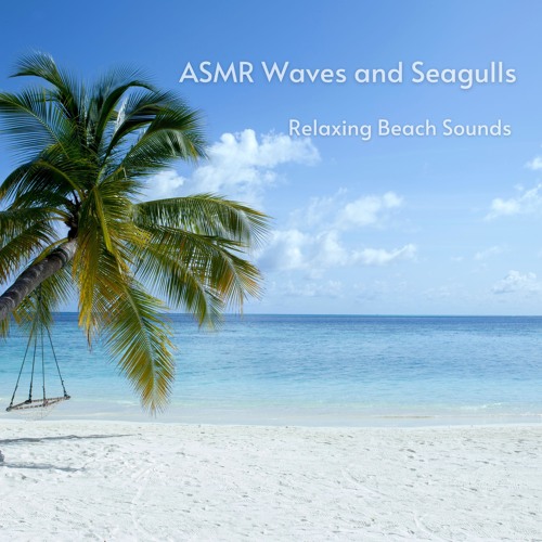 Stream ASMR Quiet Ocean Rumble by ASMR Waves and Seagulls | Listen ...
