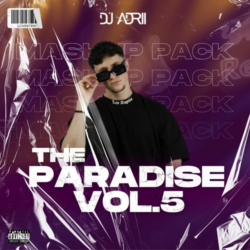 Stream The Paradise Vol 5 By Dj Adrii Mashup Pack 10 Tracks Free