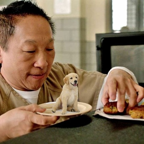 Stream i love eating dogs ft. the real ching-chong by JOYBOI | Listen ...